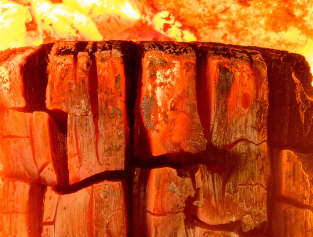 Comportamiento de la Madera frente al Fuego | 2026